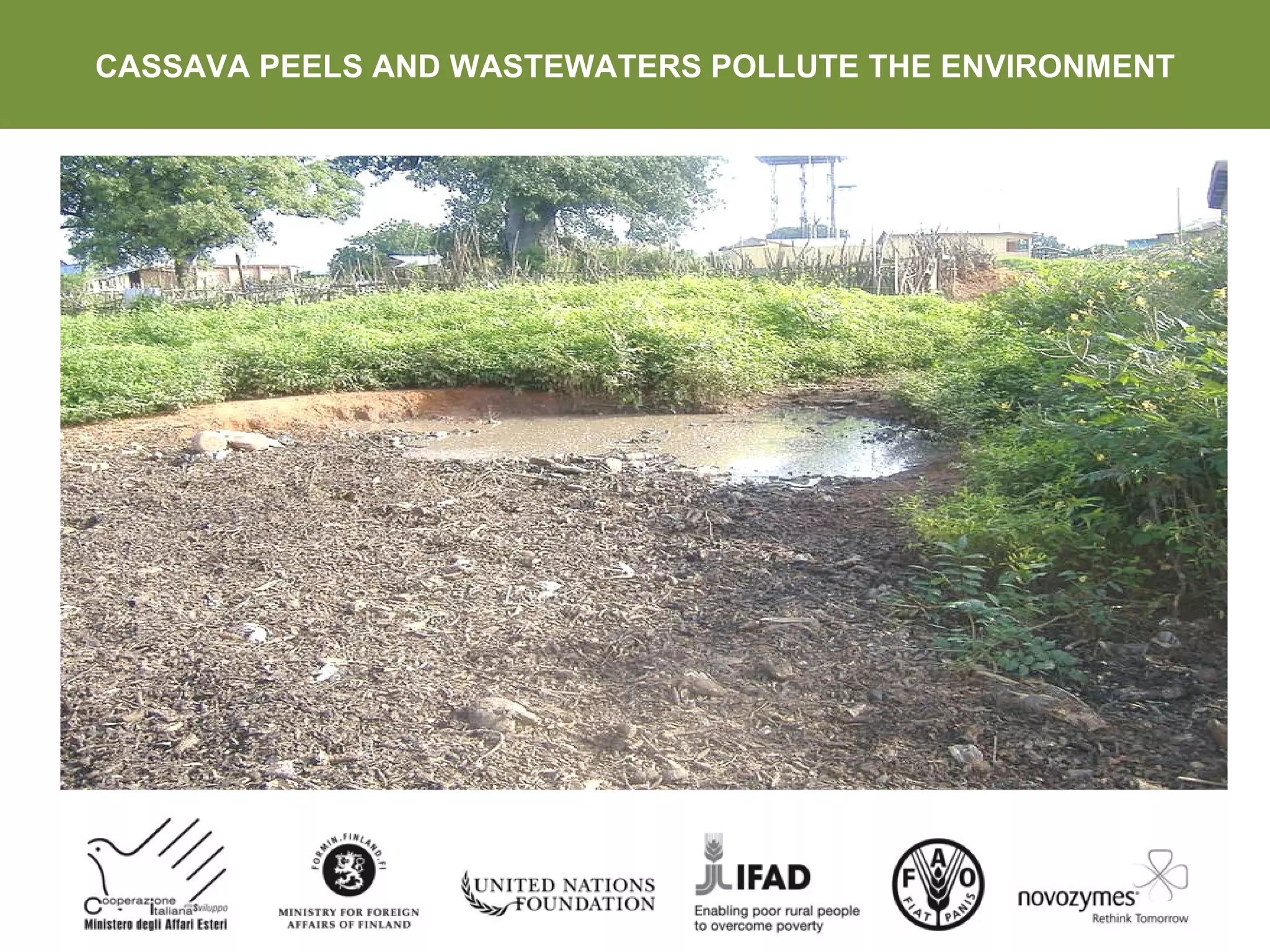 Session 5.1 Potential use of Cassava Wastes to Produce Energy: Outcomes ...