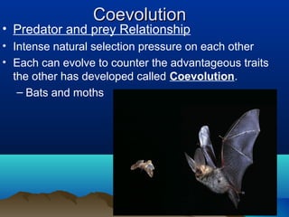 5 1 species interactions | PPT | Biological Sciences | Science