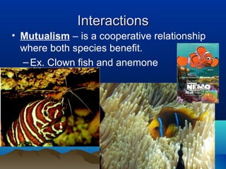 5 1 species interactions | PPT | Biological Sciences | Science