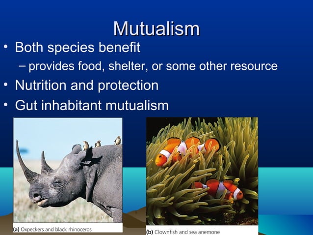 5 1 species interactions | PPT | Biological Sciences | Science