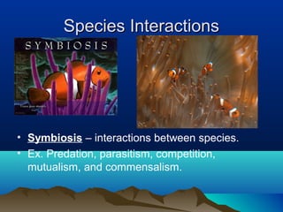 5 1 species interactions | PPT | Biological Sciences | Science