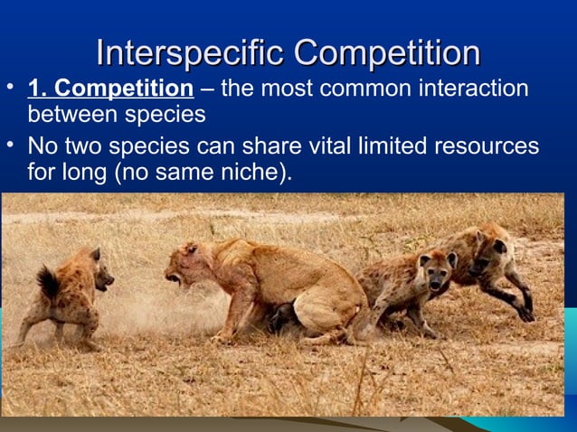 5 1 species interactions | PPT | Biological Sciences | Science