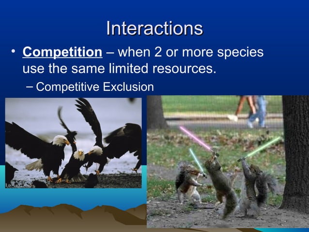 5 1 species interactions | PPT | Biological Sciences | Science