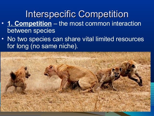 5 1 species interactions