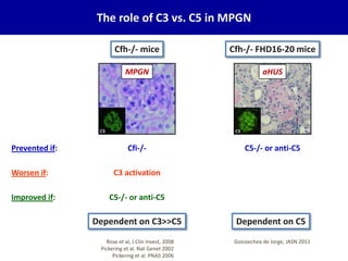 5-2. C3 glomerulonephritis and Dense Deposit Disease. Francesco Emma ...