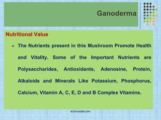 5 2 -ganoderma | PDF