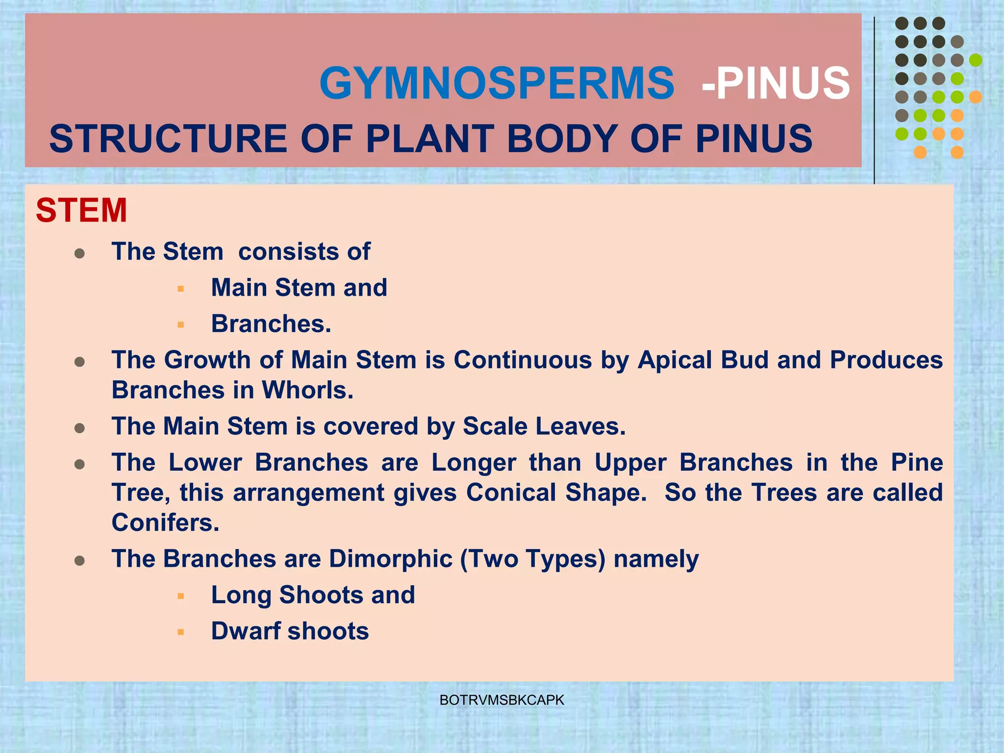 5 2 -pinus | PDF