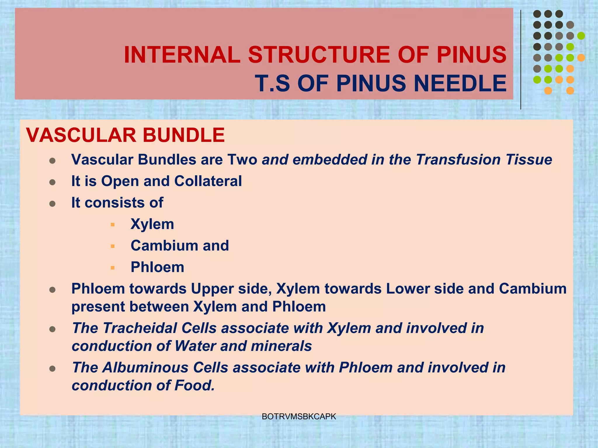 5 2 -pinus | PDF