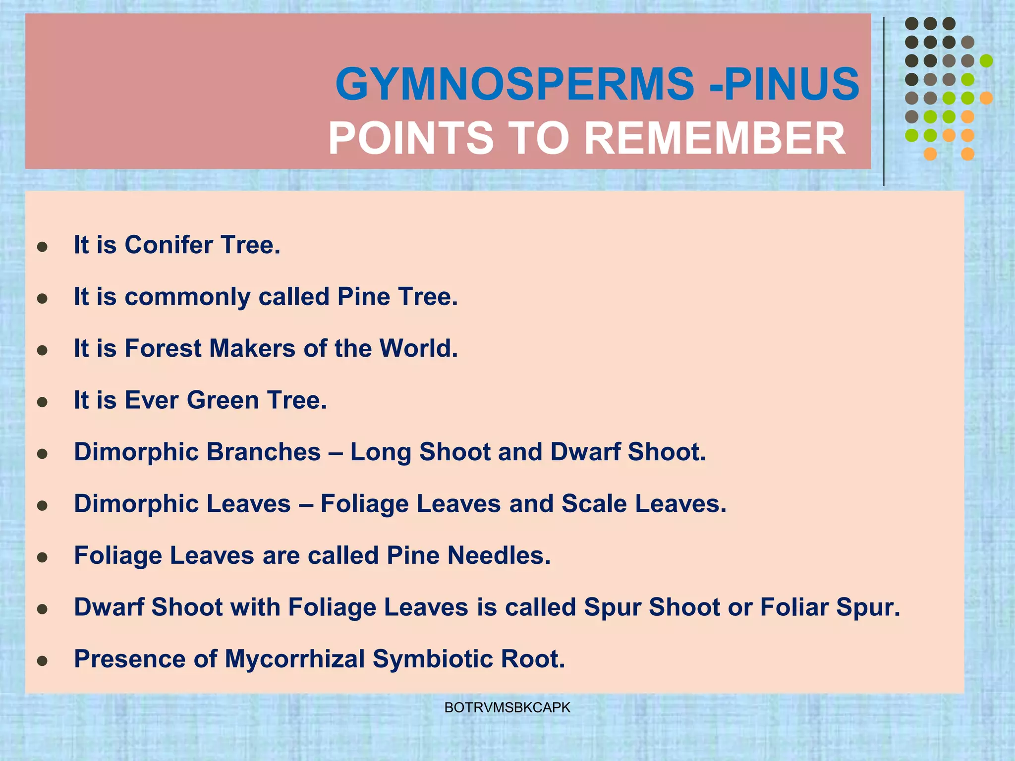 5 2 -pinus | PDF