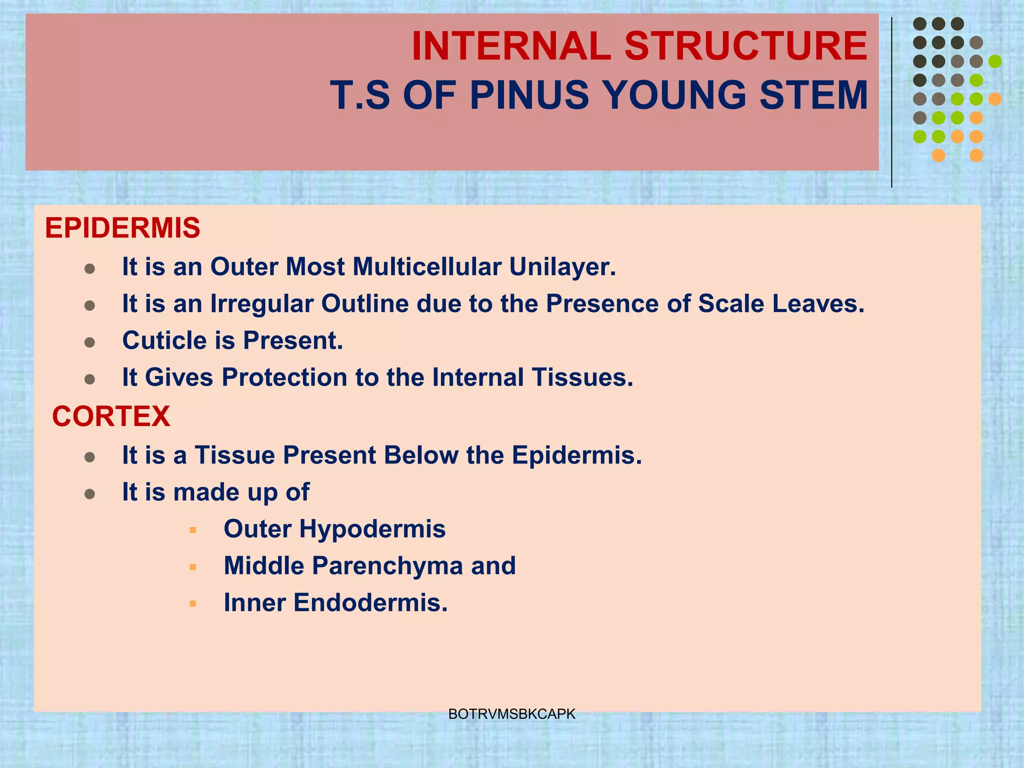 5 2 -pinus | PDF