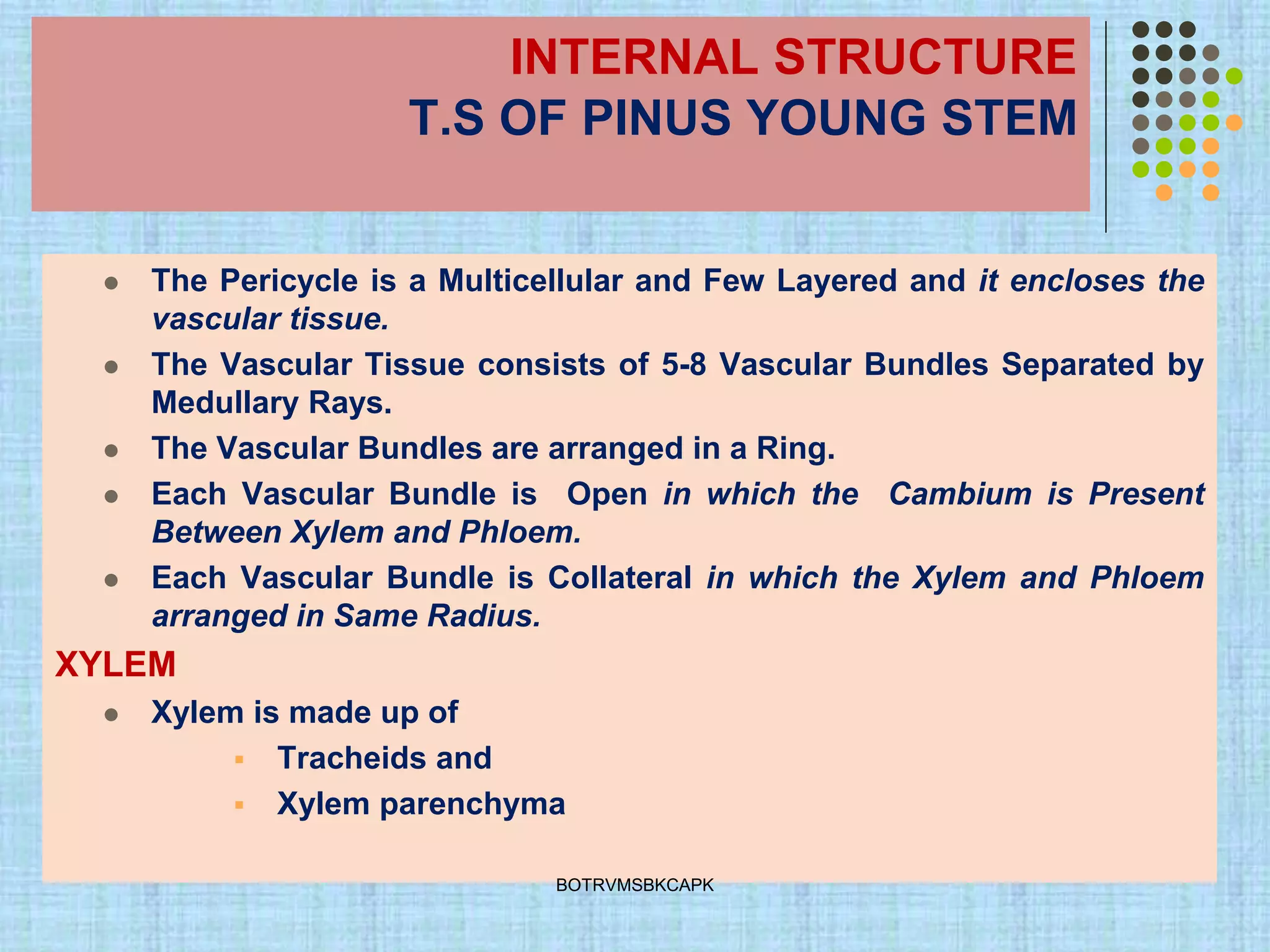 5 2 -pinus | PDF