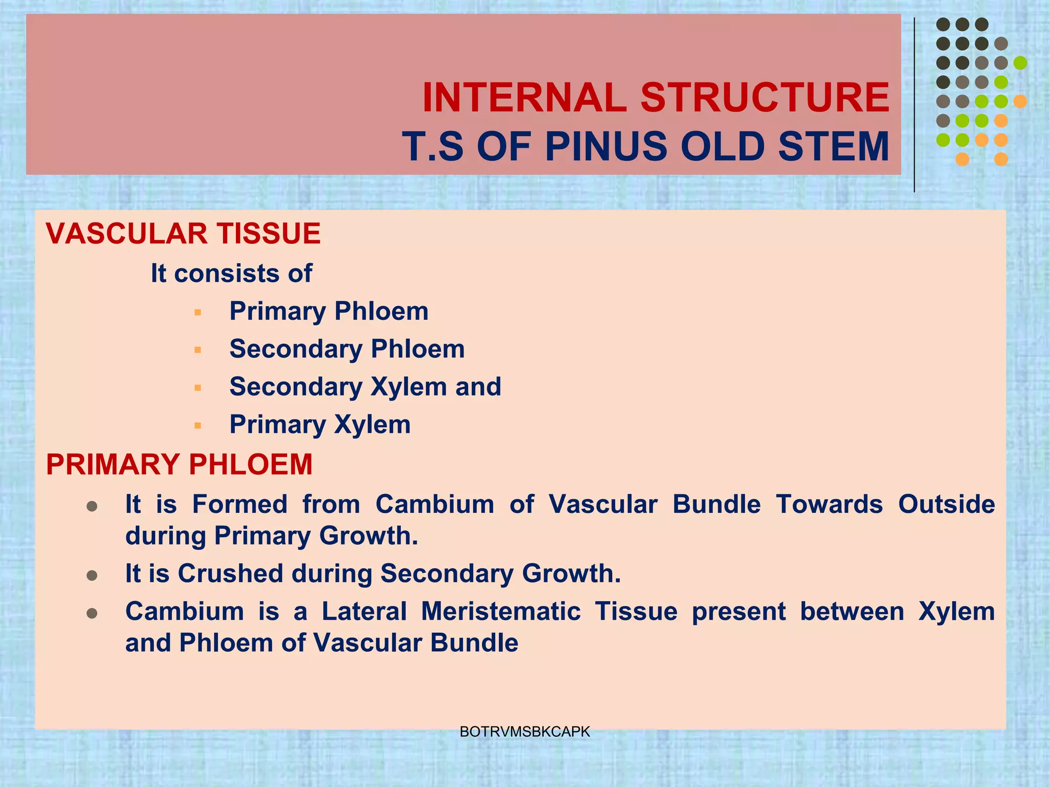 5 2 -pinus | PDF