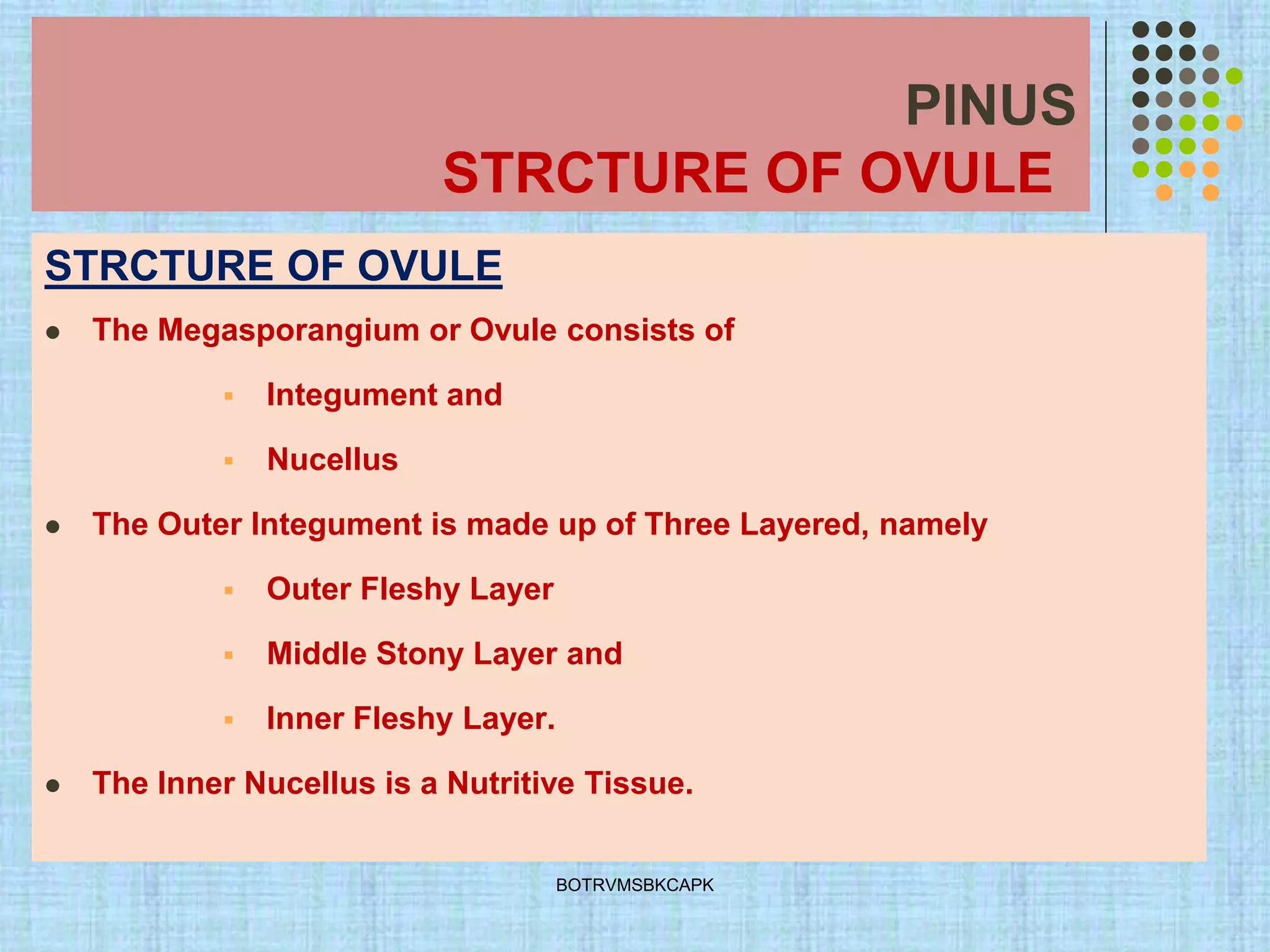 5 2 -pinus | PDF