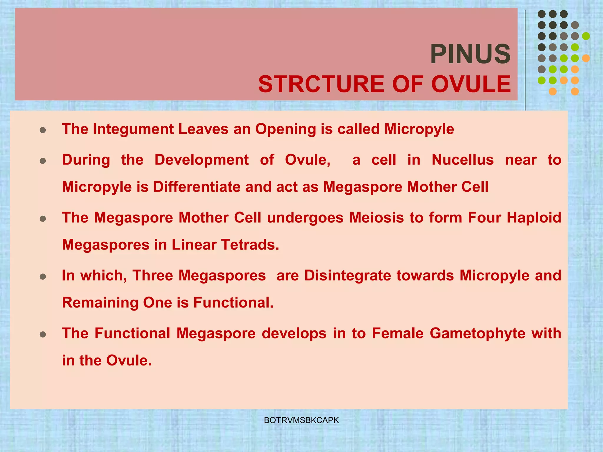 5 2 -pinus | PDF