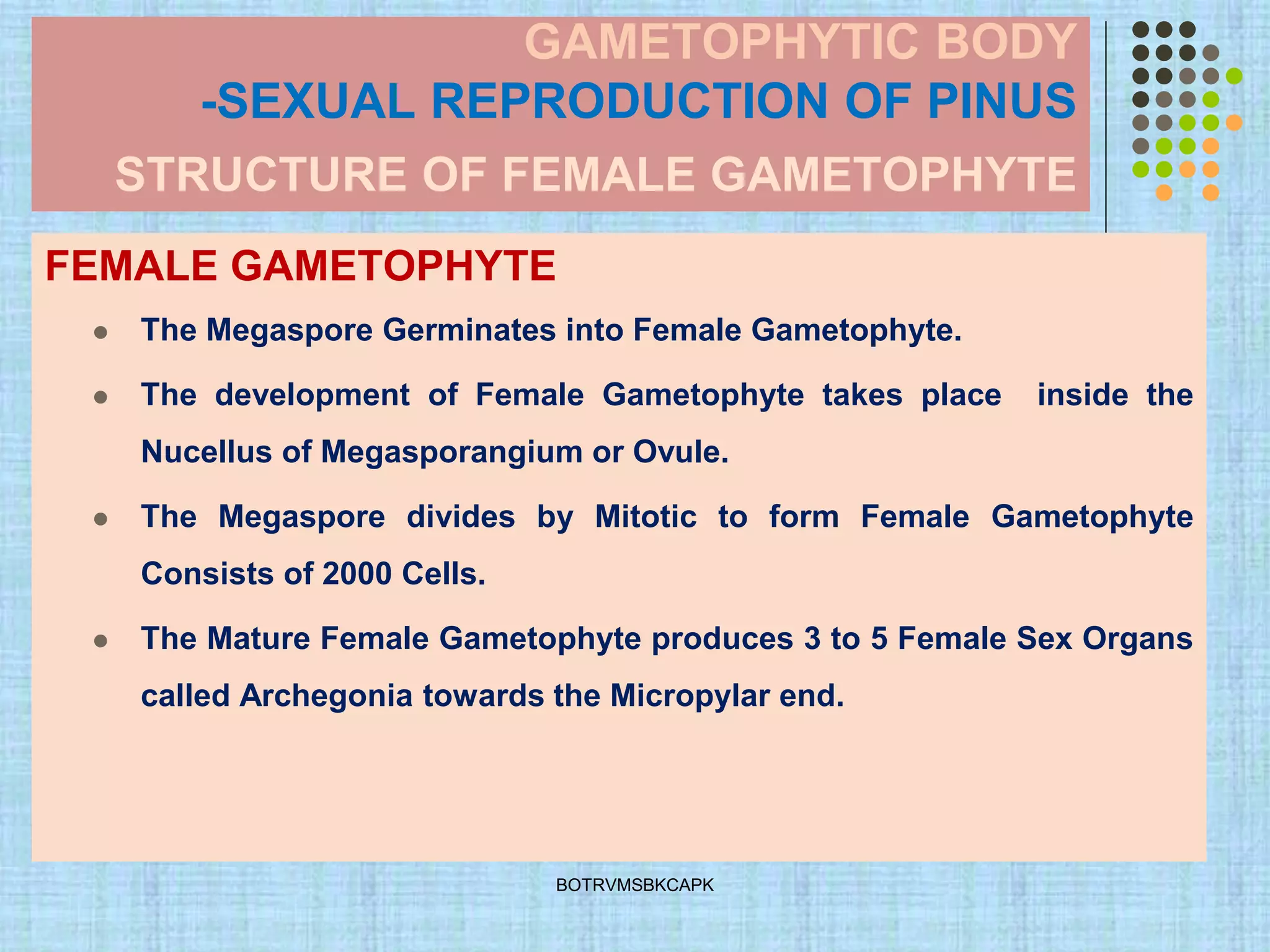 5 2 -pinus | PDF