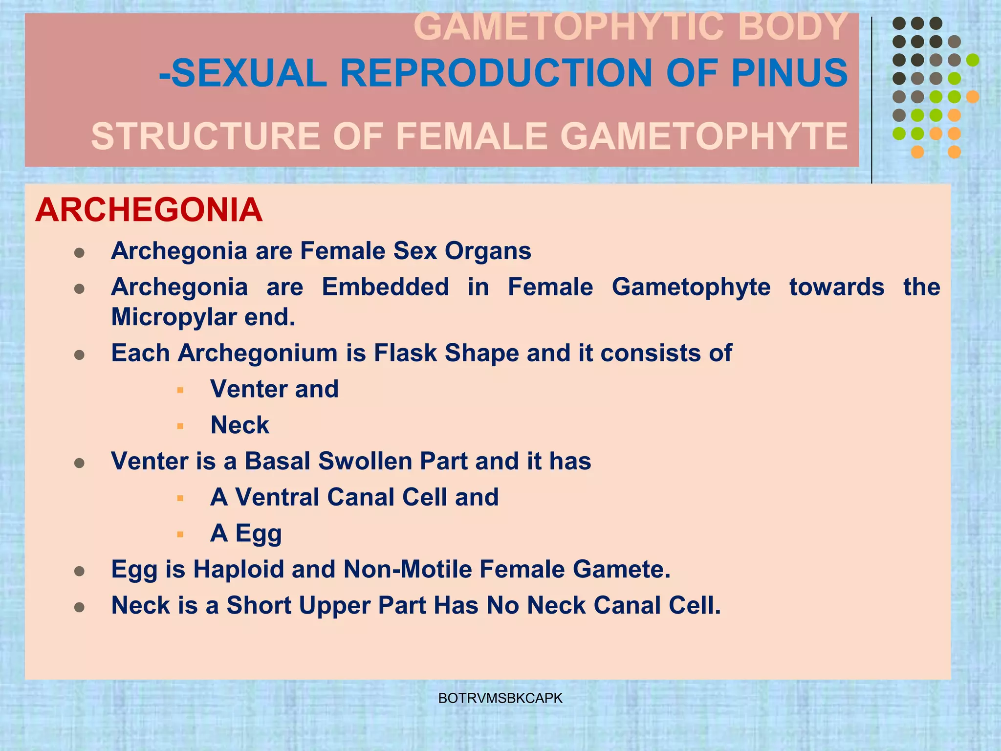 5 2 -pinus | PDF