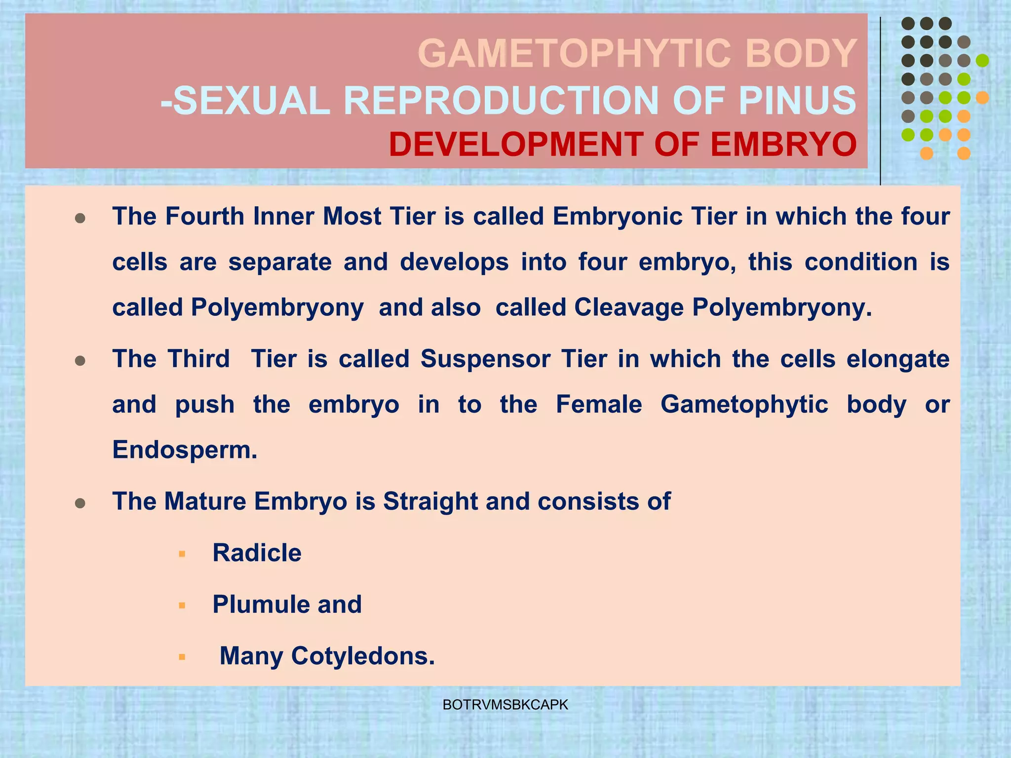 5 2 -pinus | PDF