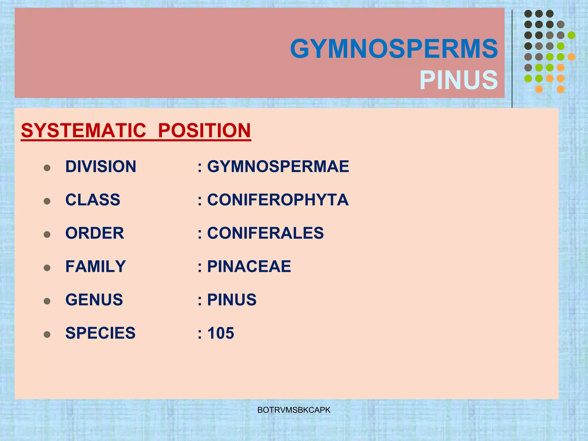 5 2 -pinus | PDF