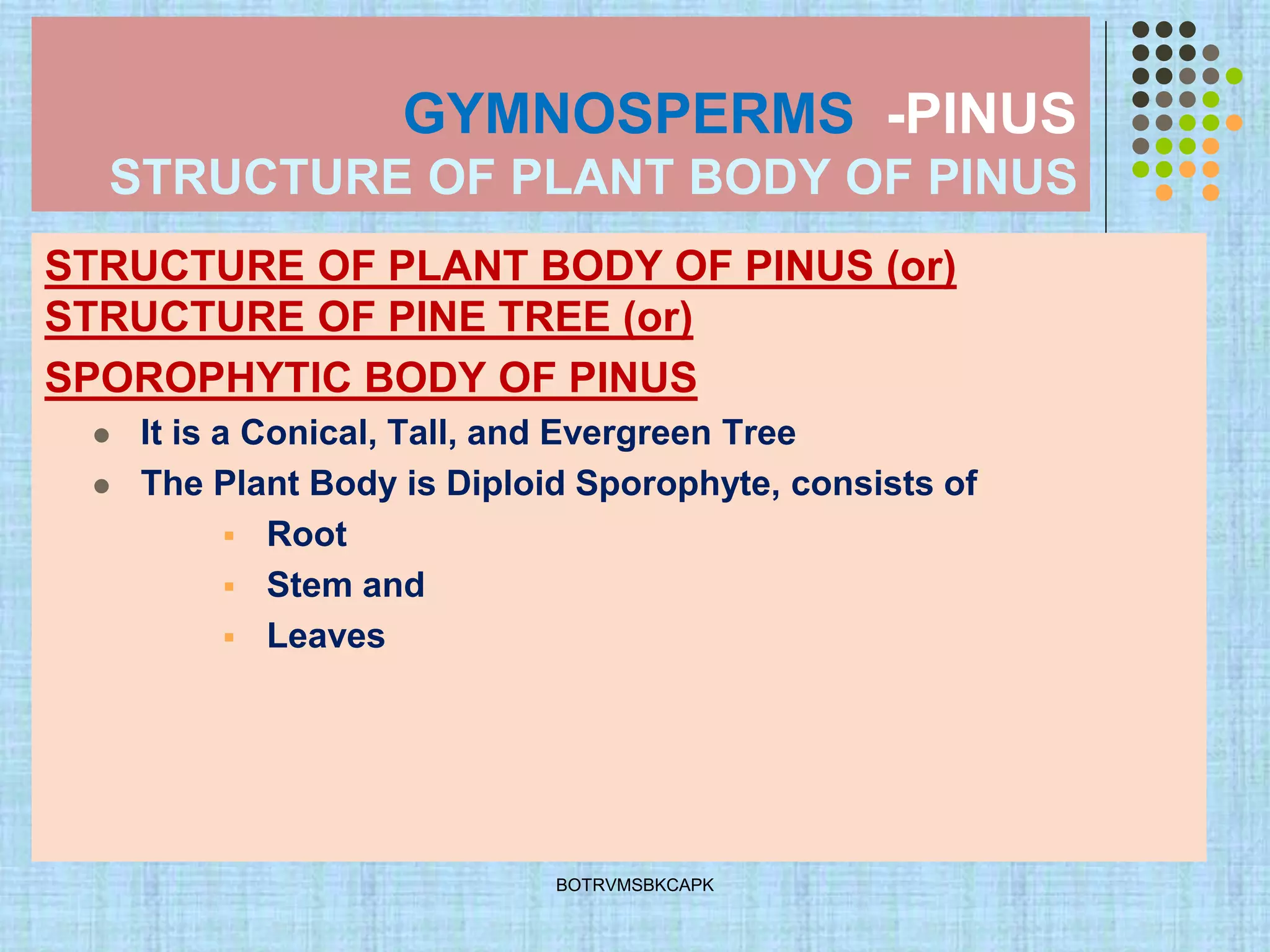 5 2 -pinus | PDF