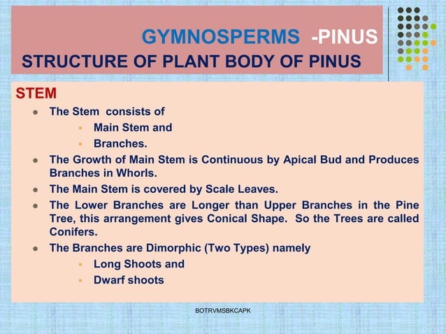 5 2 -pinus | PDF