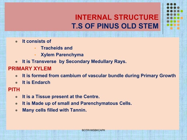 5 2 -pinus | PDF