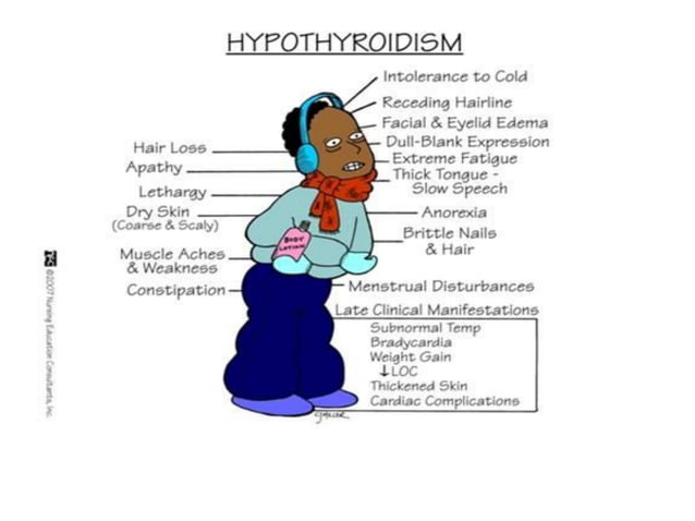 5. thyroid disorder hypo & hyper | PDF | Thyroid Disorders | Endocrine ...