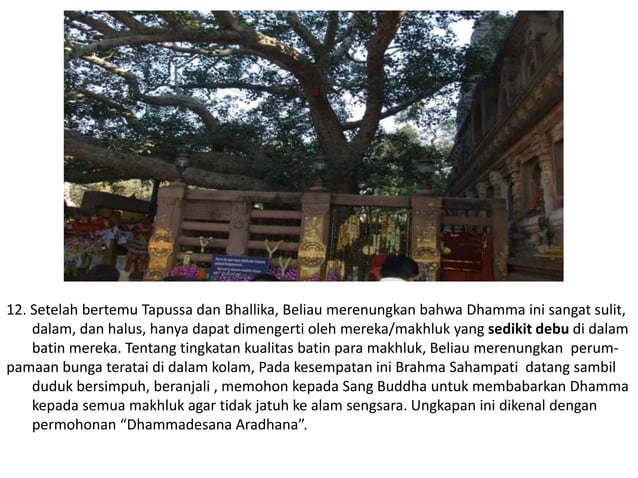 riwayat hidup buddha gotama | PPTX