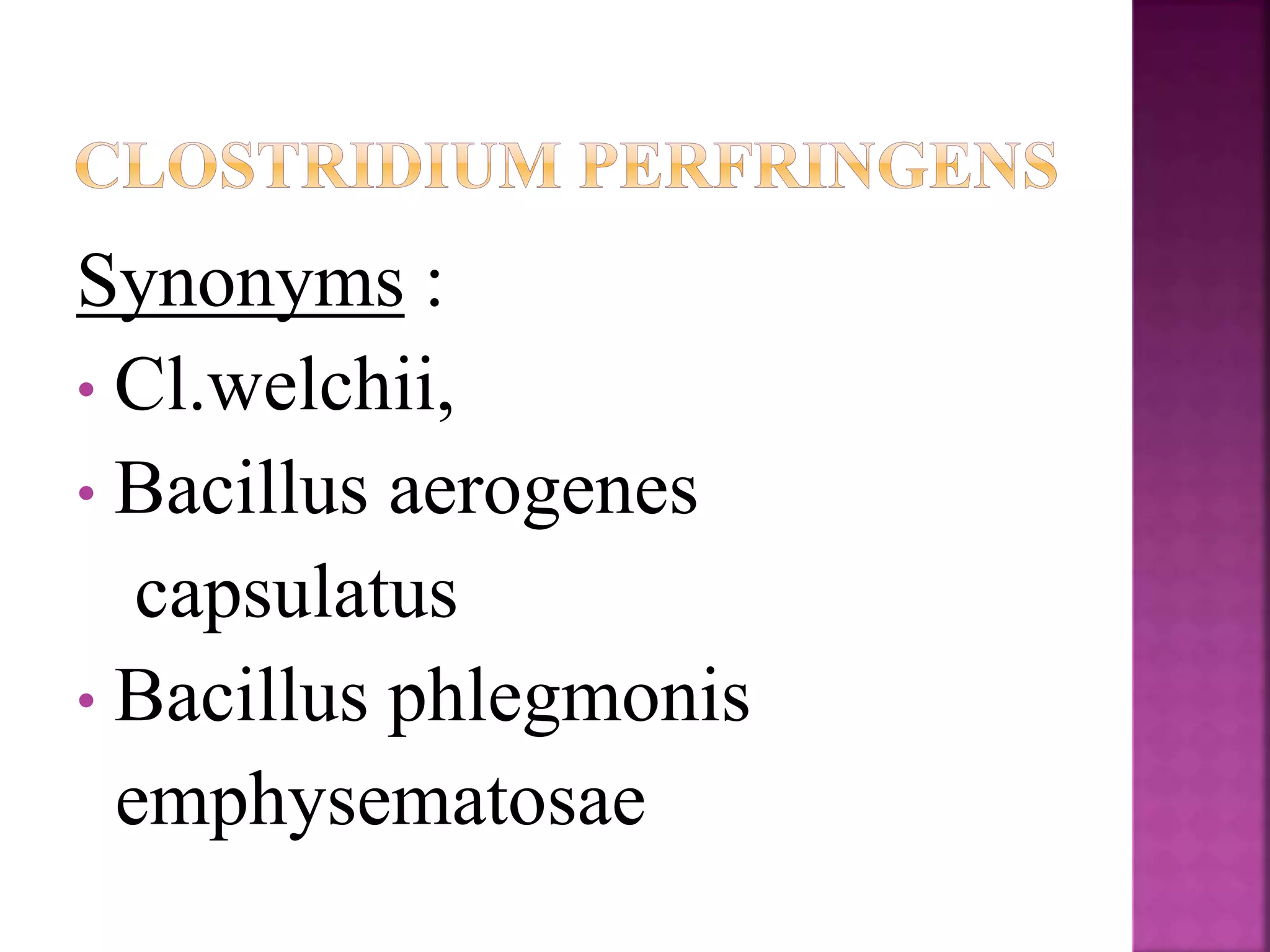 5.cl.perfringens | PPT