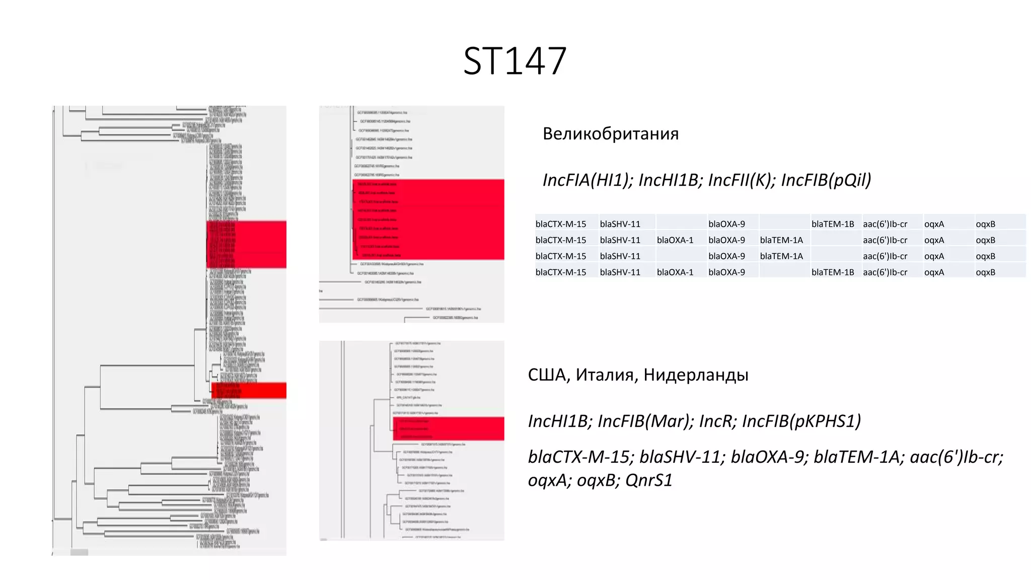 Bacterial identification and typing methods (RUS) | PPT