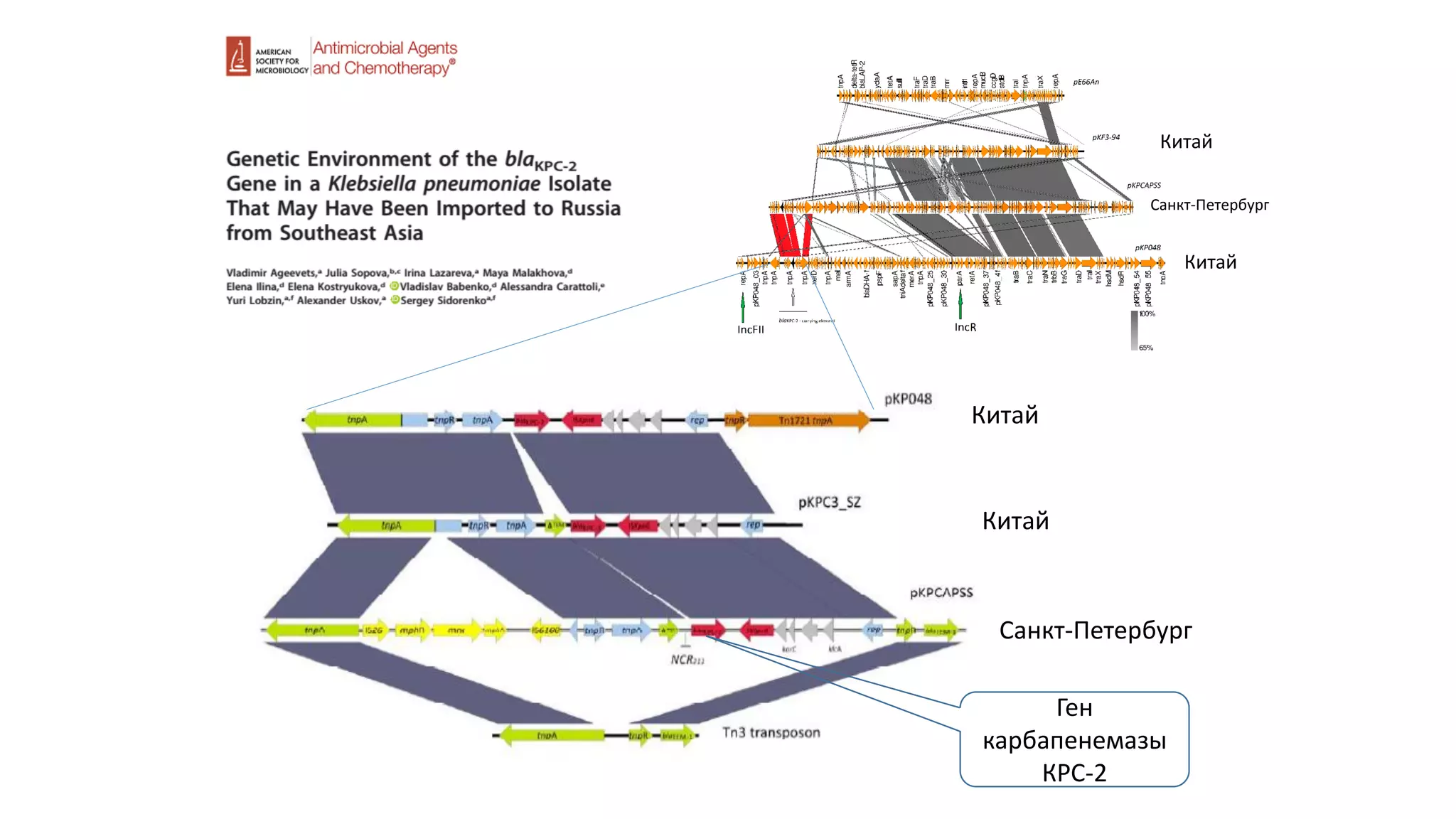 Bacterial identification and typing methods (RUS) | PPT