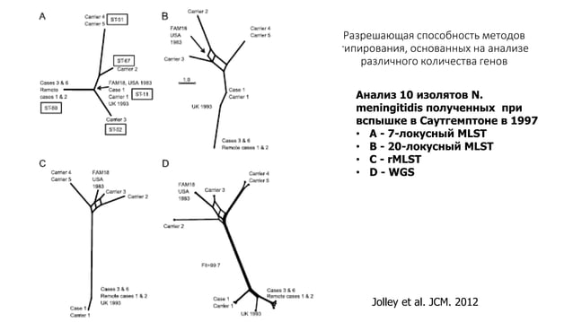 Bacterial identification and typing methods (RUS) | PPT