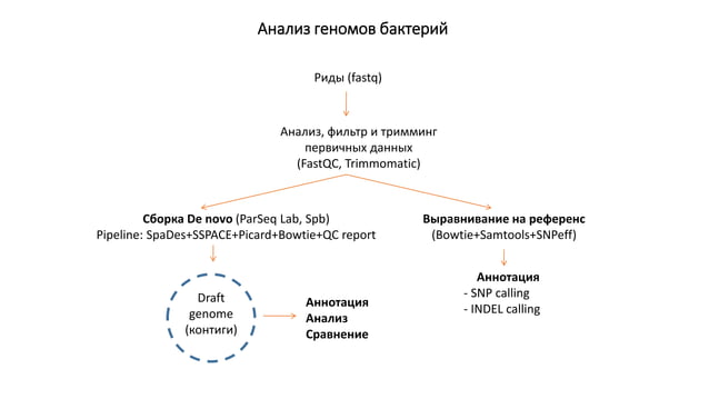 Bacterial identification and typing methods (RUS) | PPT