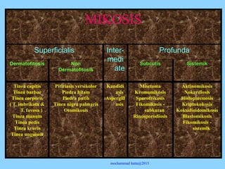 Mikologi | PPTX