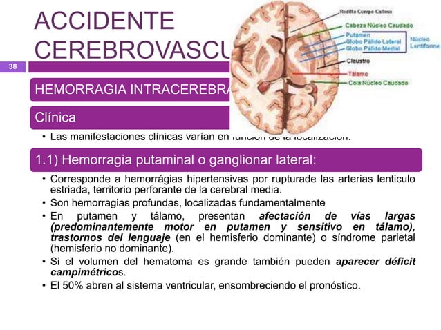5. accidente cerebrovascular hemorragico | PPTX