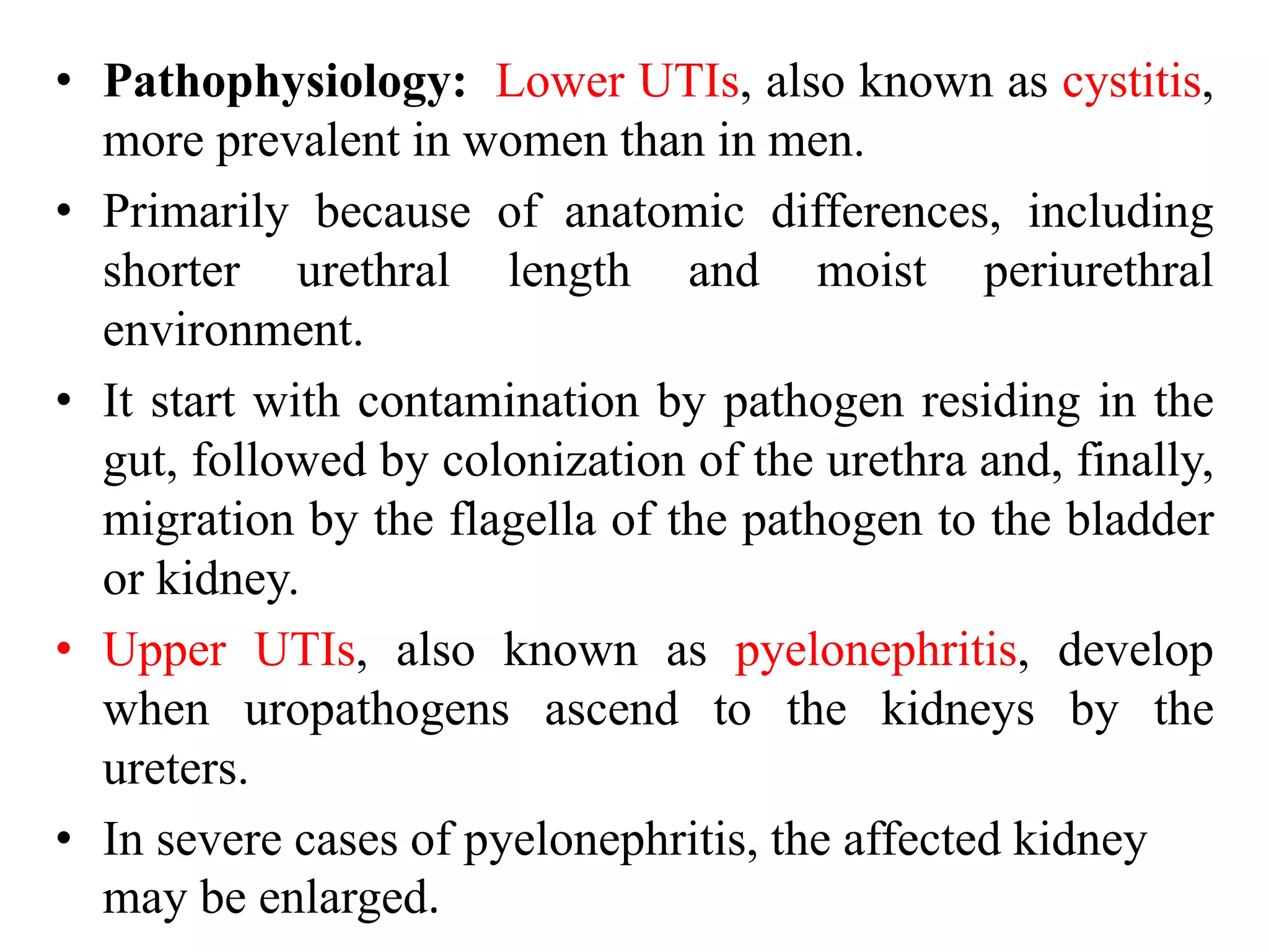 Urinary Tract Infection and Treatment-Pharmacy- Medicinal Chemistry ...