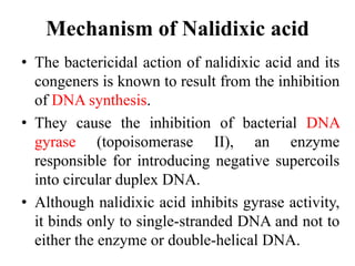 Urinary Tract Infection and Treatment-Pharmacy- Medicinal Chemistry ...