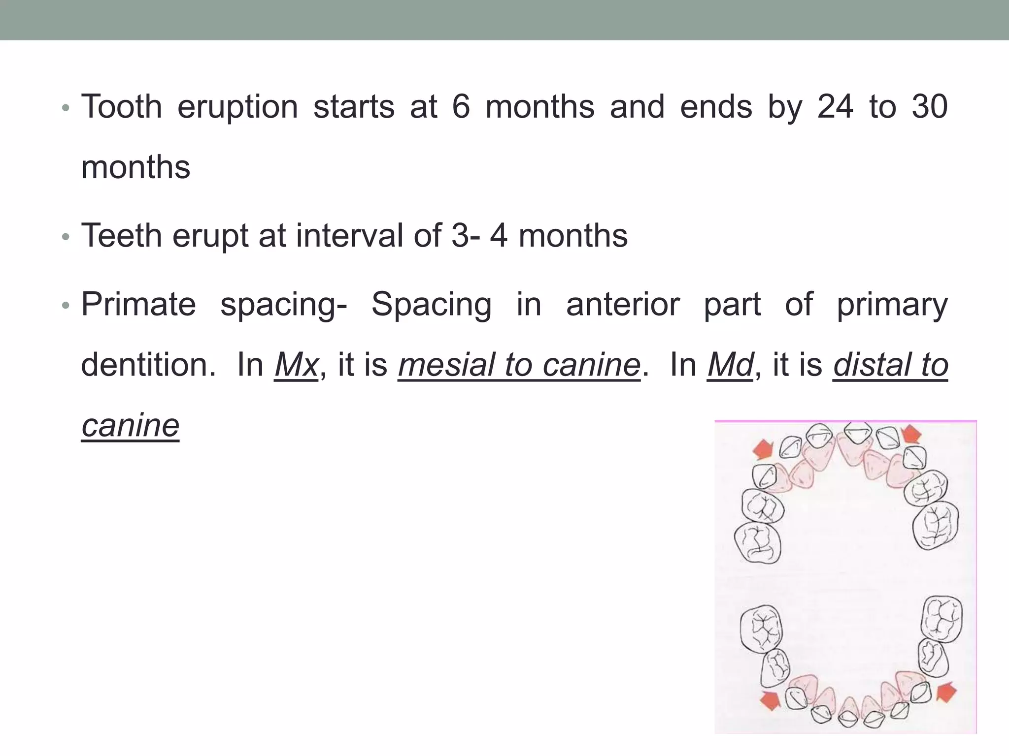 5. early stages of development | PPTX