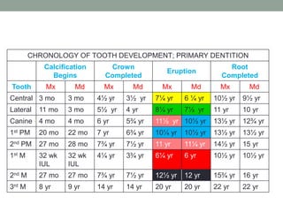 5. early stages of development | PPTX