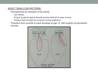 5. early stages of development | PPTX