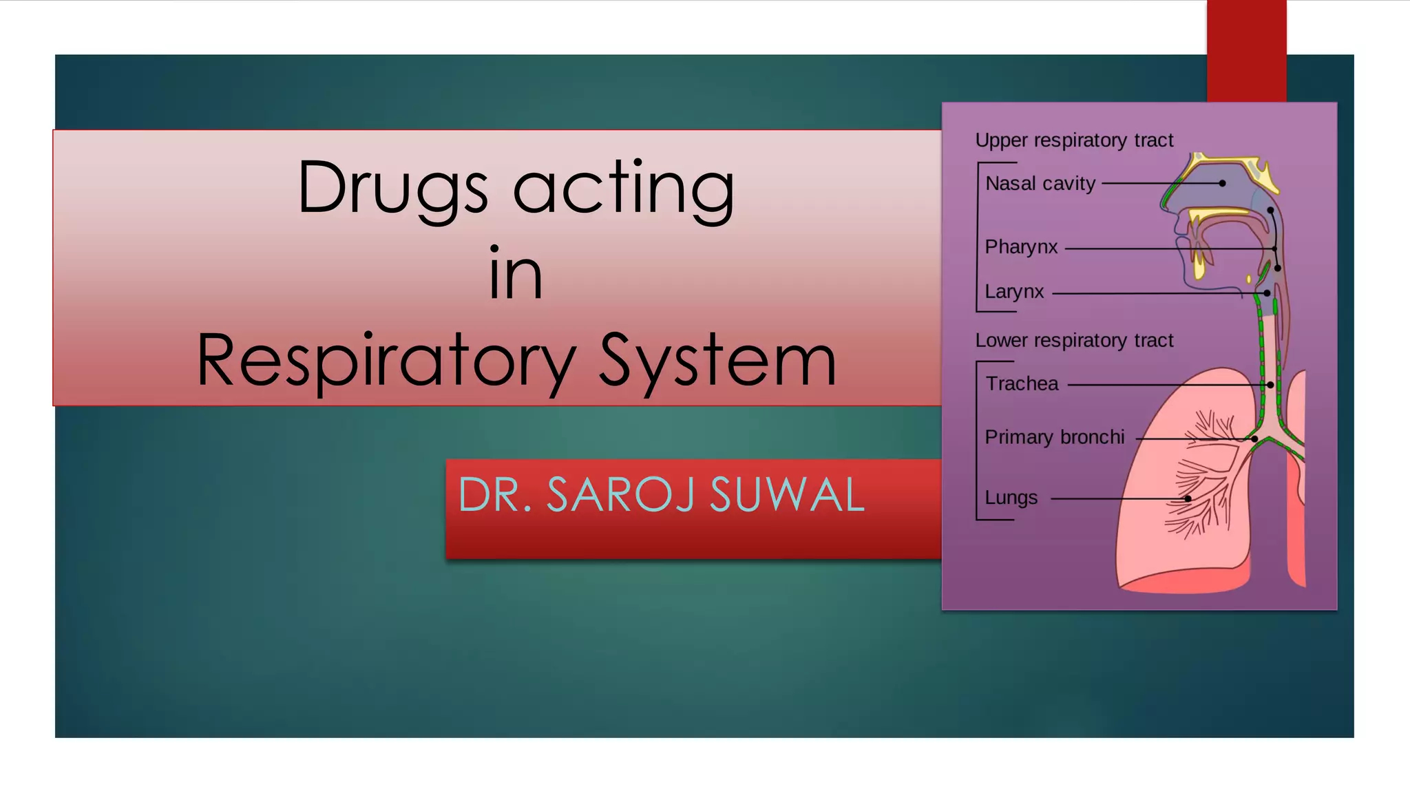 5. drugs acting in respiratory system | PDF