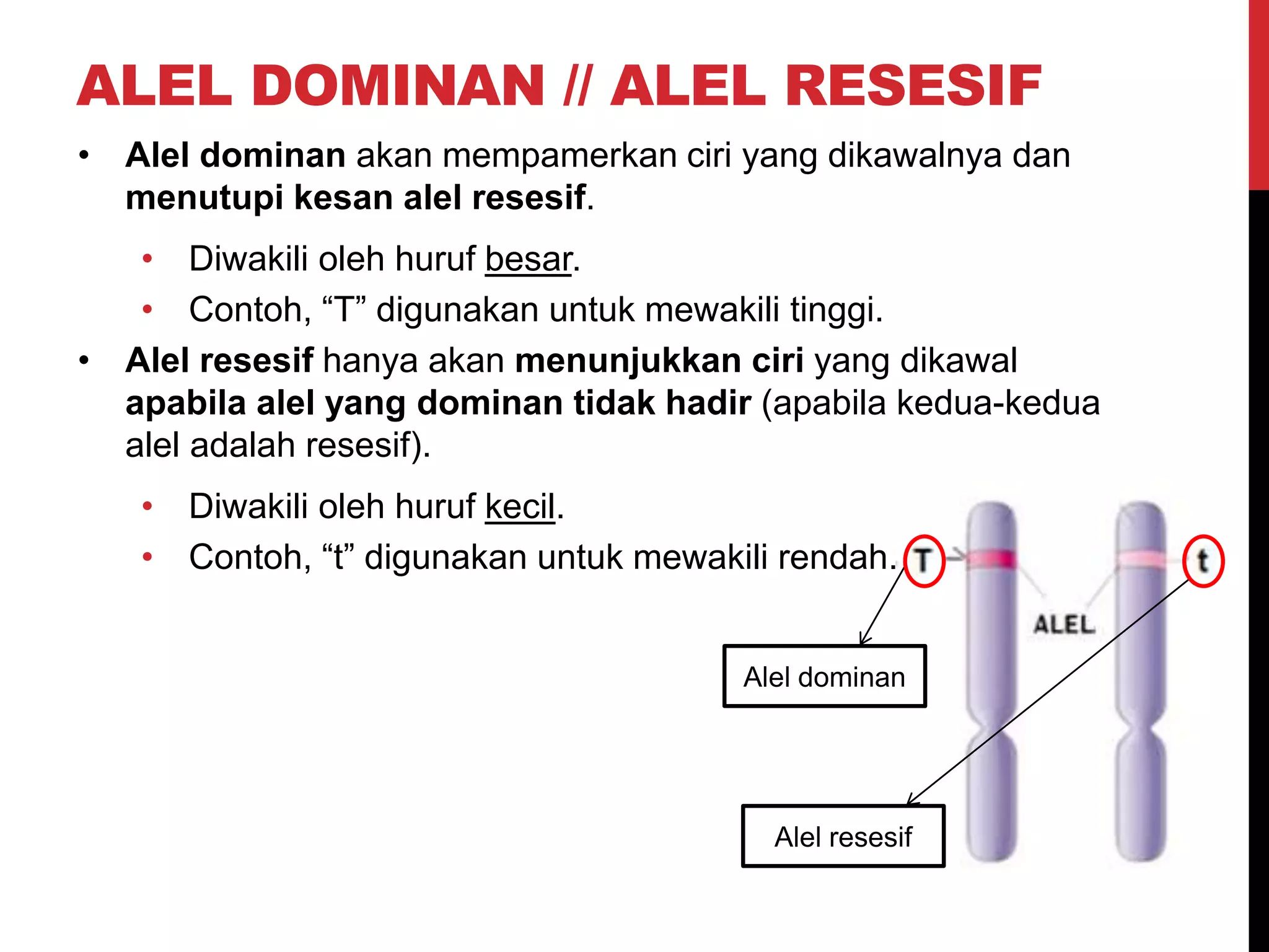 BAB 5.2 Pewarisan (Nota Powerpoint) | PPTX