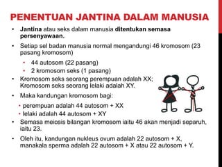 BAB 5.2 Pewarisan (Nota Powerpoint) | PPTX