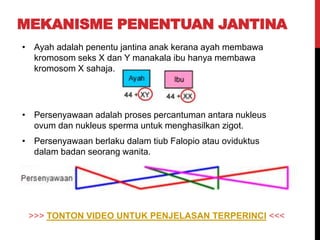BAB 5.2 Pewarisan (Nota Powerpoint) | PPTX
