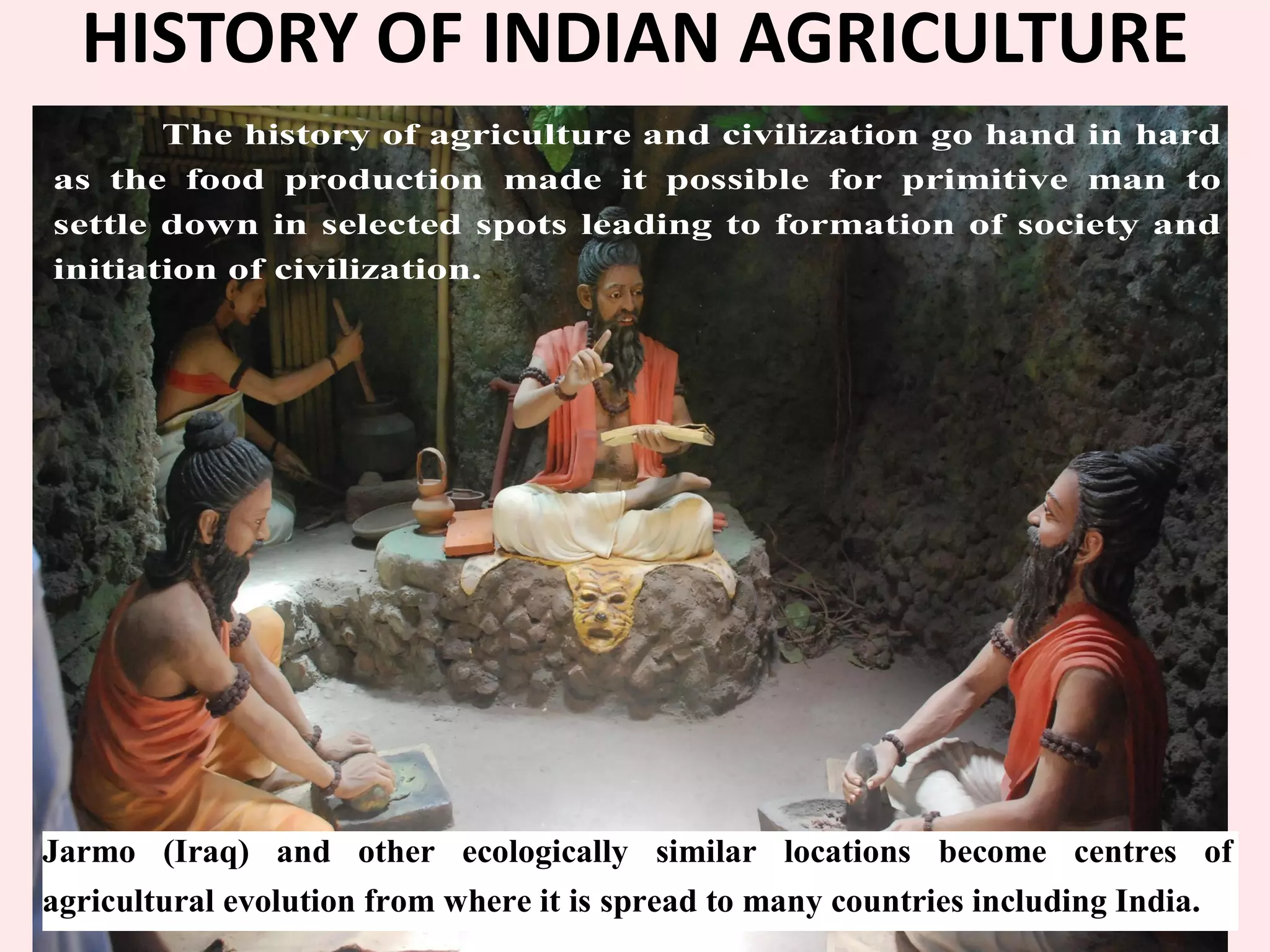 HISTORY OF AGRICULTURAL DEVELOPMENT IN ANCIENT INDIA, AGRICULTURE IN ...