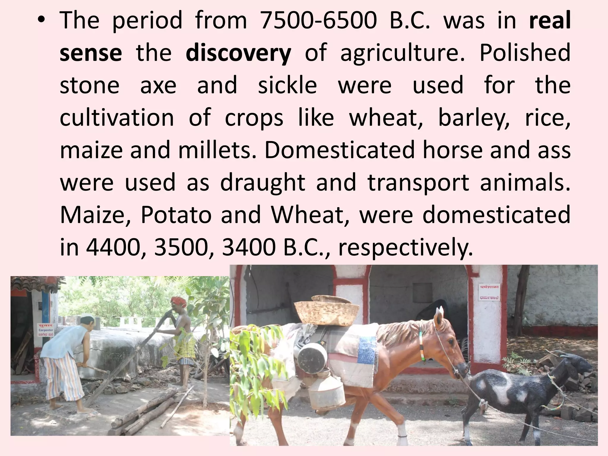 HISTORY OF AGRICULTURAL DEVELOPMENT IN ANCIENT INDIA, AGRICULTURE IN ...