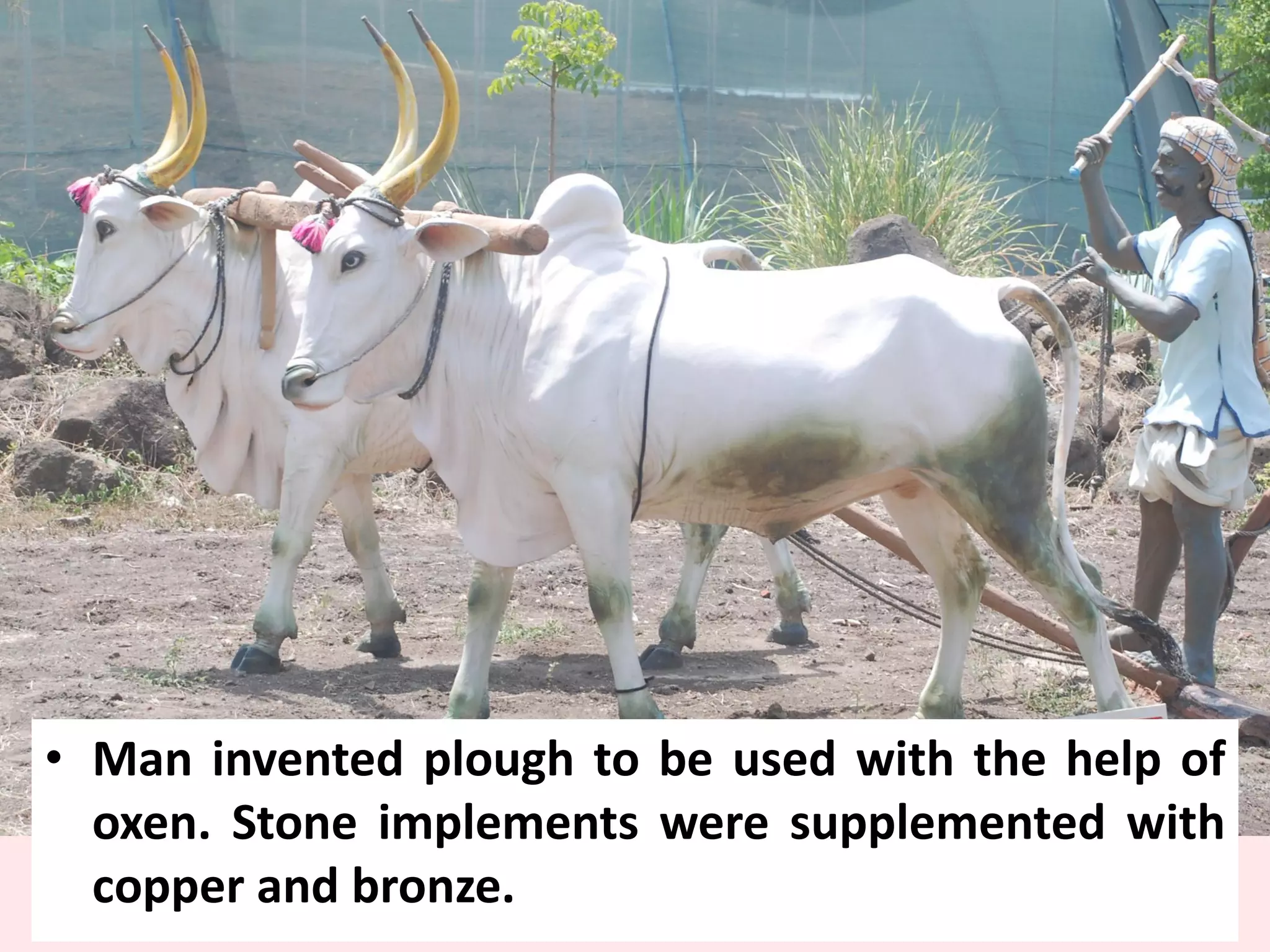 HISTORY OF AGRICULTURAL DEVELOPMENT IN ANCIENT INDIA, AGRICULTURE IN CIVILIZATION ERA | PDF