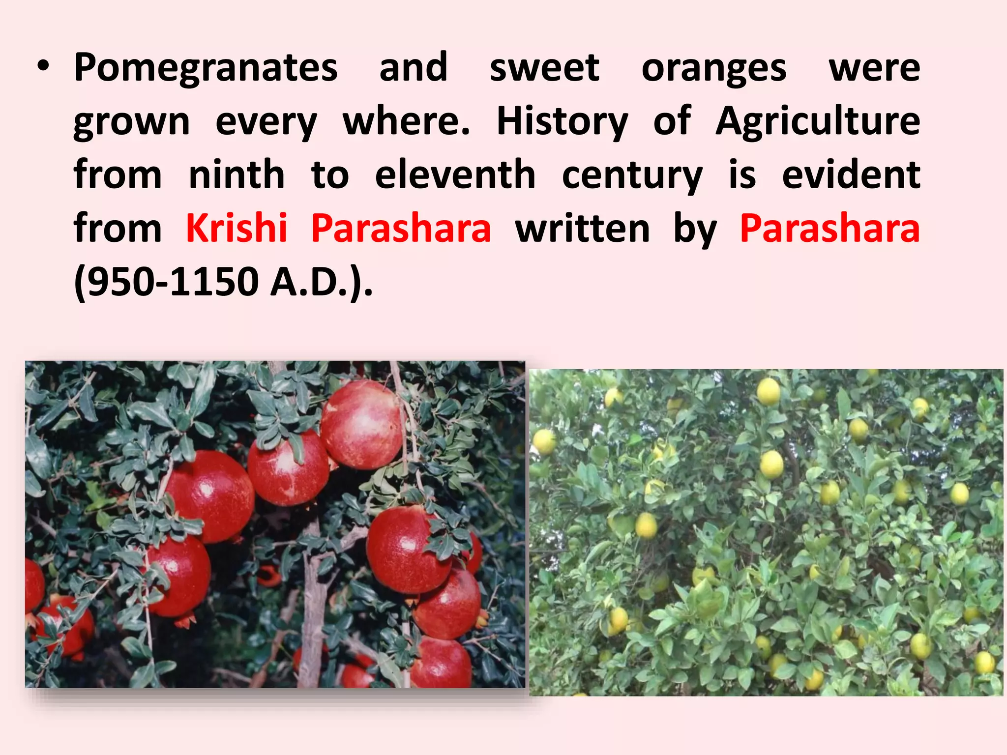 HISTORY OF AGRICULTURAL DEVELOPMENT IN ANCIENT INDIA, AGRICULTURE IN ...