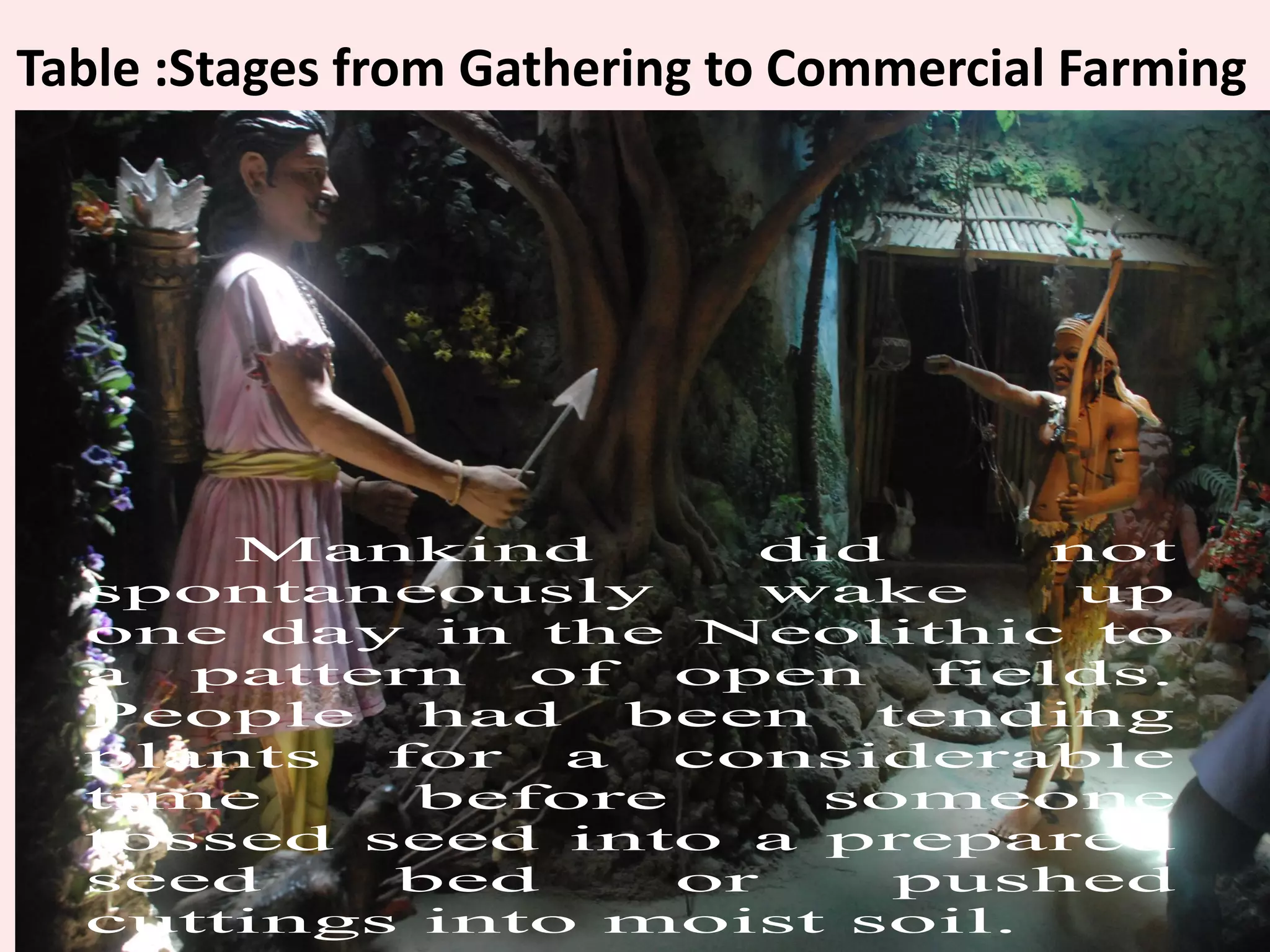 HISTORY OF AGRICULTURAL DEVELOPMENT IN ANCIENT INDIA, AGRICULTURE IN ...