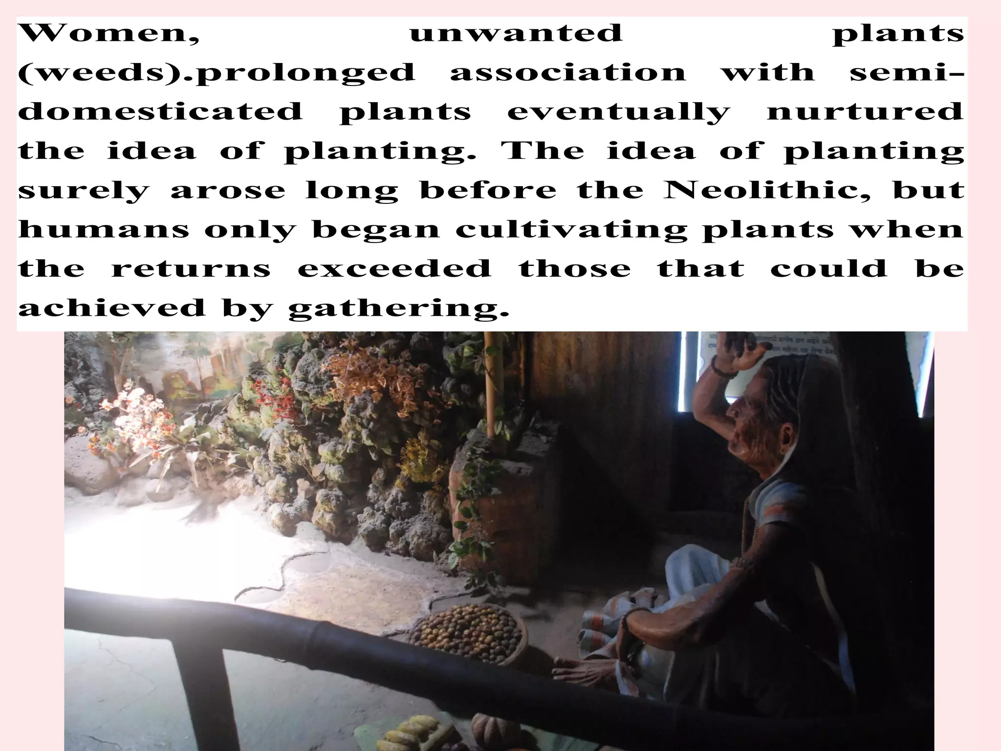 HISTORY OF AGRICULTURAL DEVELOPMENT IN ANCIENT INDIA, AGRICULTURE IN ...