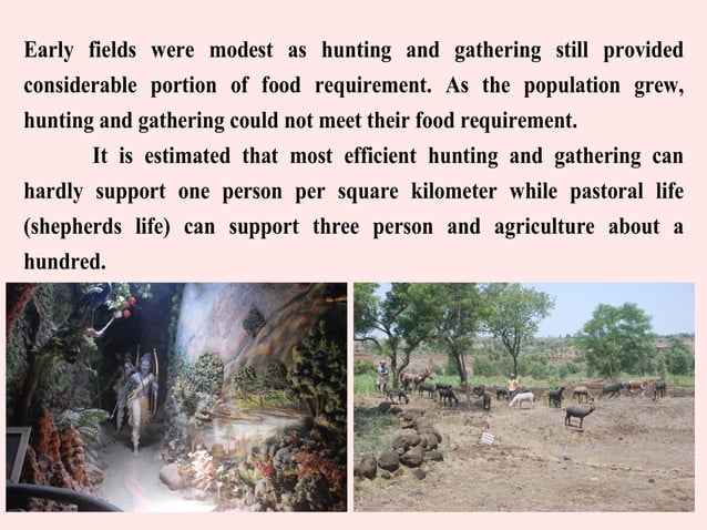 HISTORY OF AGRICULTURAL DEVELOPMENT IN ANCIENT INDIA, AGRICULTURE IN ...